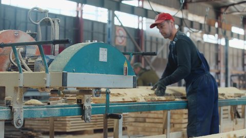 Using Modern Saw Cutting Wooden Material Stock Footage Video (100% ...