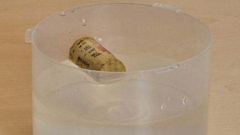 Student Experiment Cork Floats On Water Stock Footage Video (100% ...