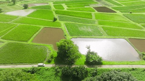 Organic Food Fields Within Lavish Protected Stock Footage Video (100% ...