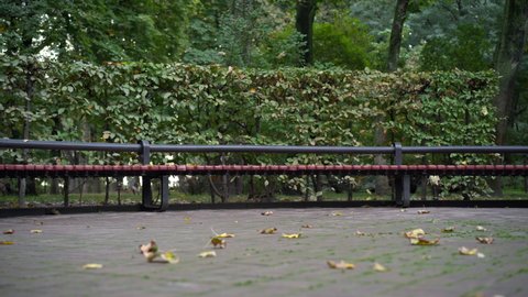 Wide Shot Benches Park Slim Young Stock Footage Video (100% Royalty ...