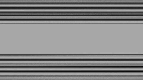 Black White Lines Strobing Noise Screen Stock Footage Video (100% ...