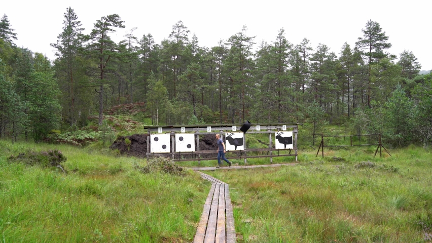 209 Archery shooting target forest Stock Video Footage - 4K and HD ...