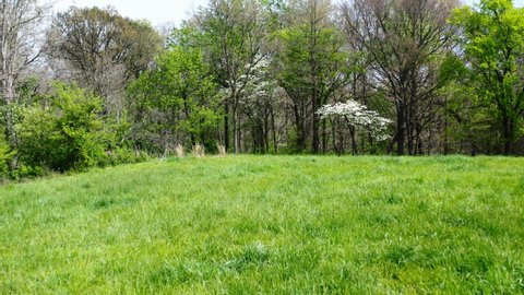 Verdant Fields Countryside Arkansas Usa Pullback Stock Footage Video ...