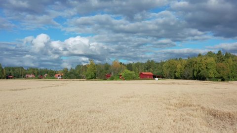 Endless Wheat Field Red Barn Farm Stock Footage Video (100% Royalty ...