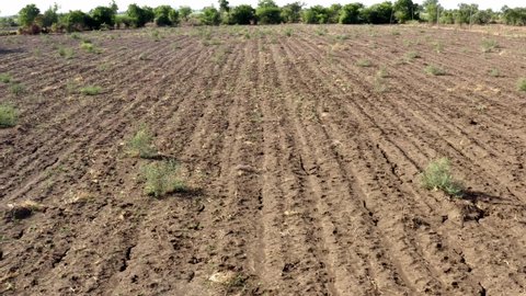 Scenery Cracked Soil Vast Drought Farmland Stock Footage Video (100% ...