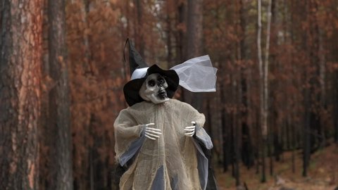 Decorative Human Skeleton Ghost Rags Hat Stock Footage Video (100% ...