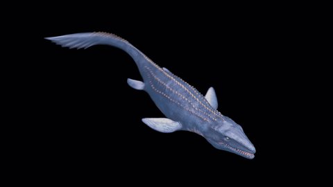 Animation Dinosaur Mosasaurus 4k Swimming Underwater Stock Footage ...