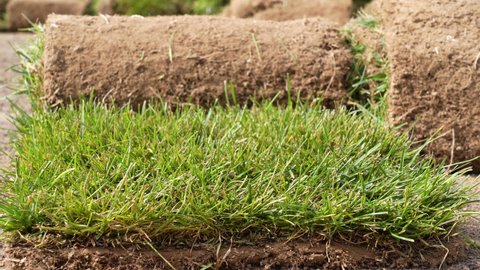 Rolling Lawn Turf Laid On Ground Stock Footage Video (100% Royalty-free ...