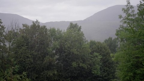 Heavy Rain Forest Mountains Slow Motion Stock Footage Video (100% ...