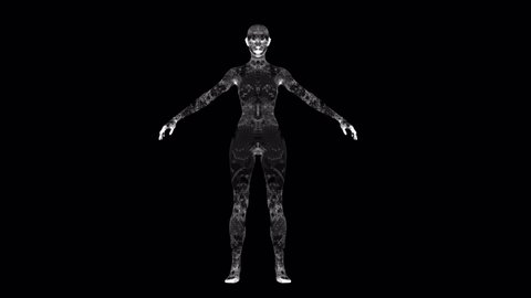 3d Woman Body Rotating Woman Body Stock Footage Video (100% Royalty ...