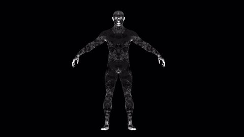 3d Man Body Rotating Man Body Stock Footage Video (100% Royalty-free ...