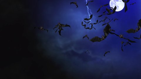 Flying Bats Animation Black Green Screen Stock Footage Video (100% ...
