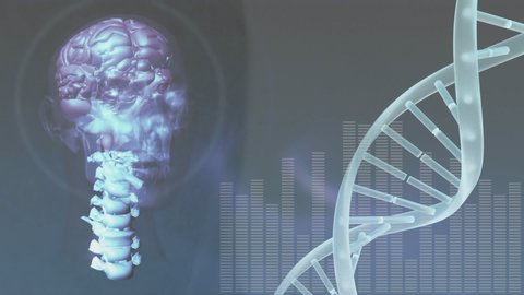 Animation Dna Helix Digital Human Brain Stock Footage Video (100% ...