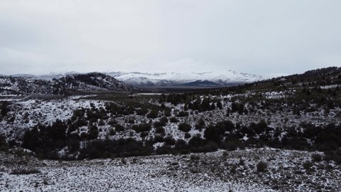 Cartera de videos de stock de Federico Jauregui | Shutterstock