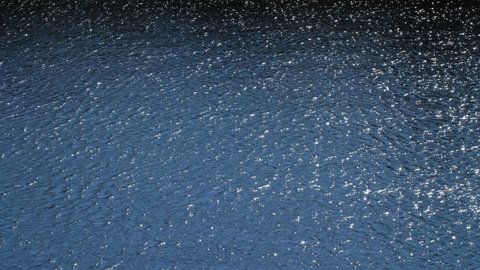 Blue Freshwater Lake Sparkling Sun Summer Stock Footage Video (100% ...