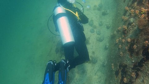 Scuba Diver Using Frog Kicking Technique Stock Footage Video (100% ...
