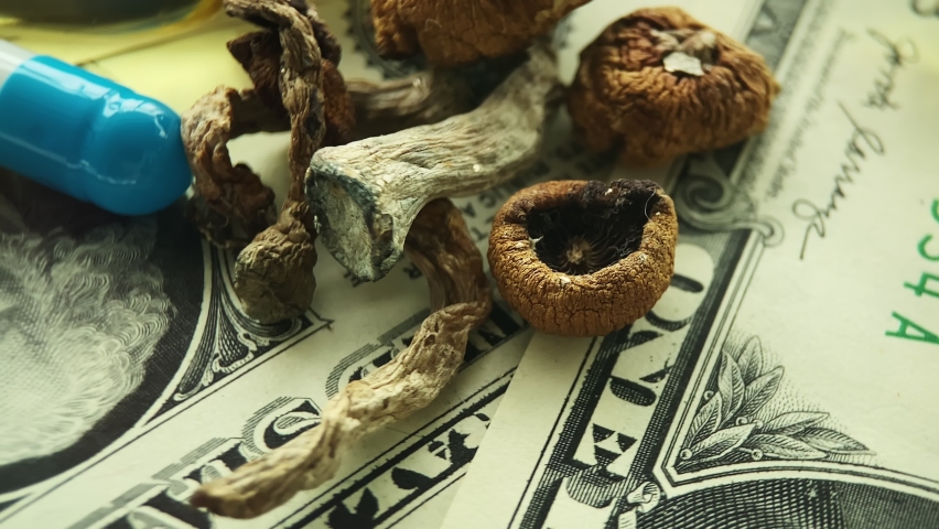 79 Dried psilocybin mushrooms Stock Video Footage - 4K and HD Video ...