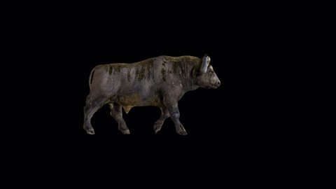 Buffalo Walk Side View Animationfull Hd Stock Footage Video (100% ...