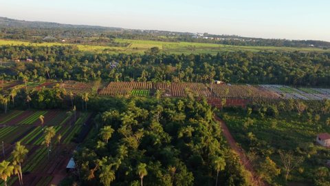 Aerial Plantation Fields Outskirts Asuncion Paraguay Stock Footage ...