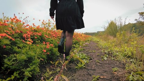 Womens Lower Half Legs Walk By Stock Footage Video (100% Royalty-free ...