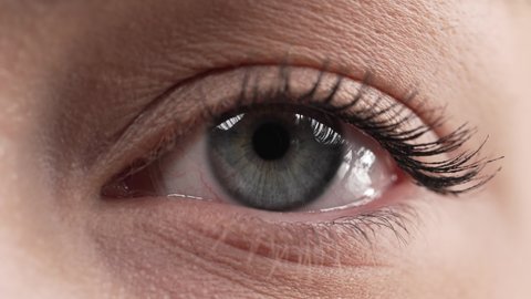 Closeup Blueeyed Womans Eye Looking Left Stock Footage Video (100% ...