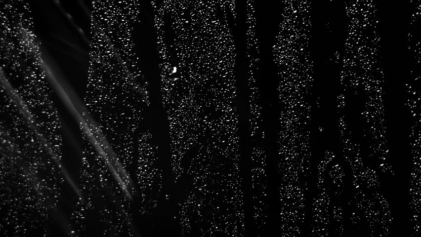 검정색 배경에서 움직이는 거품이 3d 애니메이션 스톡 동영상 비디오(100% 로열티 프리) 1012339976 ...