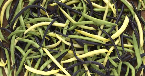 Spring Beans Different Cultivar Texture Background Stock Footage Video ...