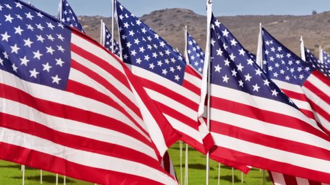 Drone Shot Endless Flags Each Representing Stock Footage Video (100% ...