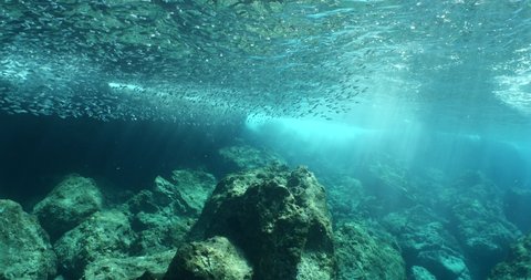 Underwater Scenery Blue Water Some Fish Stock Footage Video (100% ...
