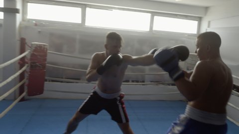 Sparring Boxers Training Punches Boxing Ring Stock Footage Video (100% ...