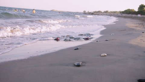 Fat Woman Cellulite Walking On Beach Stock Footage Video (100% Royalty ...
