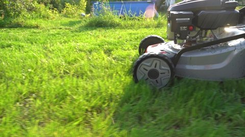 Closeup Mowing Grass Backyard Lawn Mower Stock Footage Video (100% ...