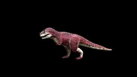 4k Red Carnotaurus Walk Transparent Alpha Stock Footage Video (100% ...