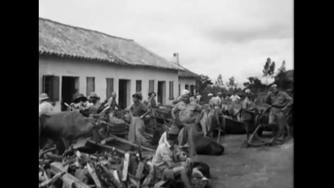 Circa 1945 French Foreign Legion Troops Stock Footage Video (100% ...