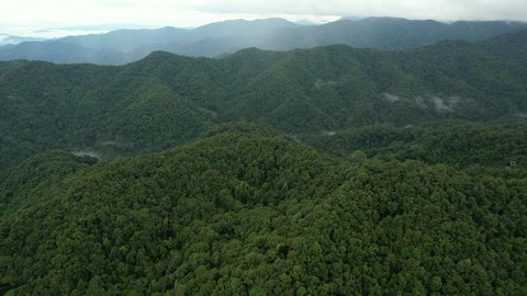 4k Aerial View Flying Above Teak Stock Footage Video (100% Royalty-free ...