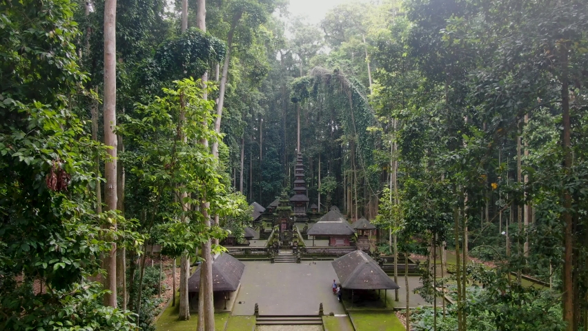 Forest Bali Videos: 4K and HD Video Clips for Download