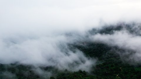 Top View Morning Mist Viewpoint Layers Stock Footage Video (100% ...