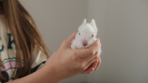 Little Girl Holding Little Rabbit Her Stock Footage Video (100% Royalty ...