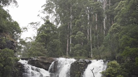 Stevenson Falls Otway National Park Stock Footage Video (100% Royalty ...
