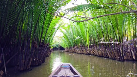 Cruise Local Canal Surround Tunnel Nypa Stock Footage Video (100% ...