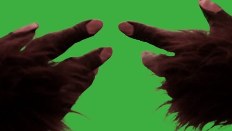 67 Werewolf Transformation Stock Video Footage - 4K and HD Video Clips ...