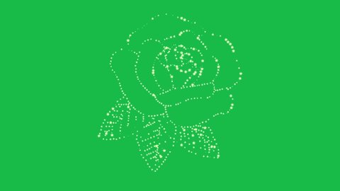 Blinking Rose Motion Graphic Green Screen Stock Footage Video (100% ...