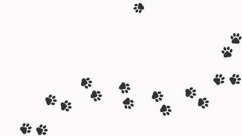 Animal Paw Prints Cartoon Comic Funny Stock Footage Video (100% Royalty ...