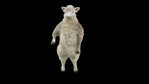 Sheep Dancing Animal 3d Rendering Animation Stock Footage Video (100% ...