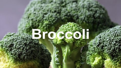 Broccoli Circle Graph Summary Nutritional Components Stock Footage ...