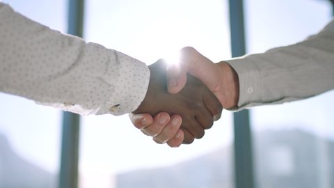 Diversity Business People Handshake Promotion B2b Stock Footage Video ...