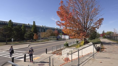 Waterloo Ontario Canada October 2022 Fall Stock Footage Video (100% ...