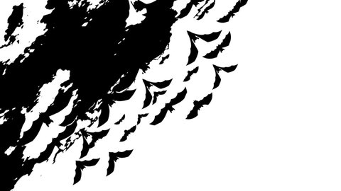Halloween Bat Transition Cartoon Bats 2d Stock Footage Video (100% ...