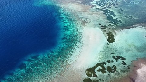 1,771 Coral Reef Birds Eye Stock Video Footage - 4K and HD Video Clips ...