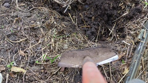 Firstperson Shooting Man Shovel Digs Ground Stock Footage Video (100% ...